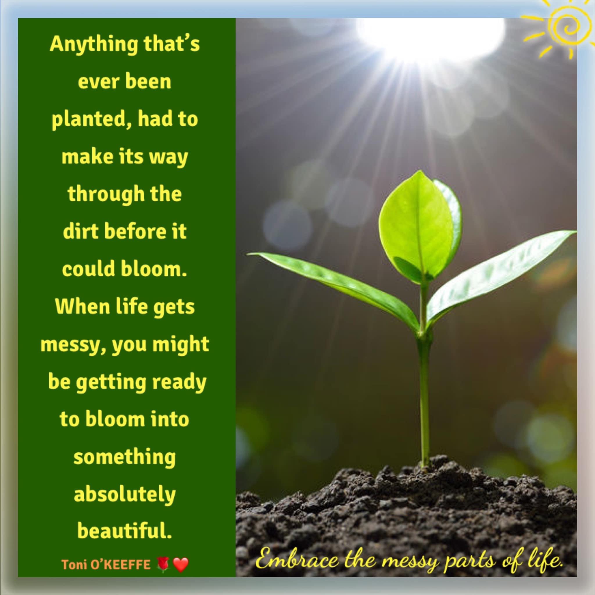 Embrace the messy parts of life. – The Whimsey Angel
